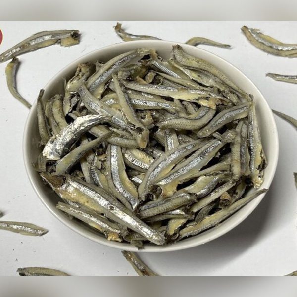 بازار فروش ماهی متوتا در آسیای شرقی و اروپا | ماهی خان